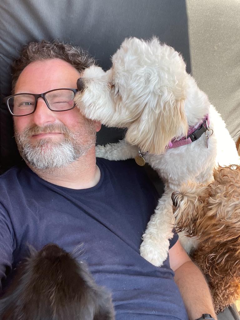 Nottingham Pet Care – We provide fun and loving pet care!